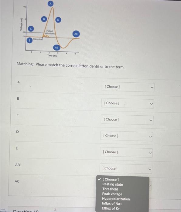Solved Matching: Please match the correct letter identifier | Chegg.com