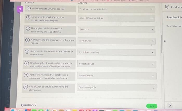 Solved Prompts Answers Feedback Feedback f Your instructor | Chegg.com
