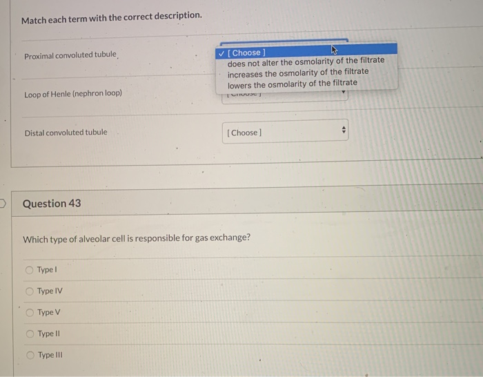 Solved Match each term with the correct description. | Chegg.com