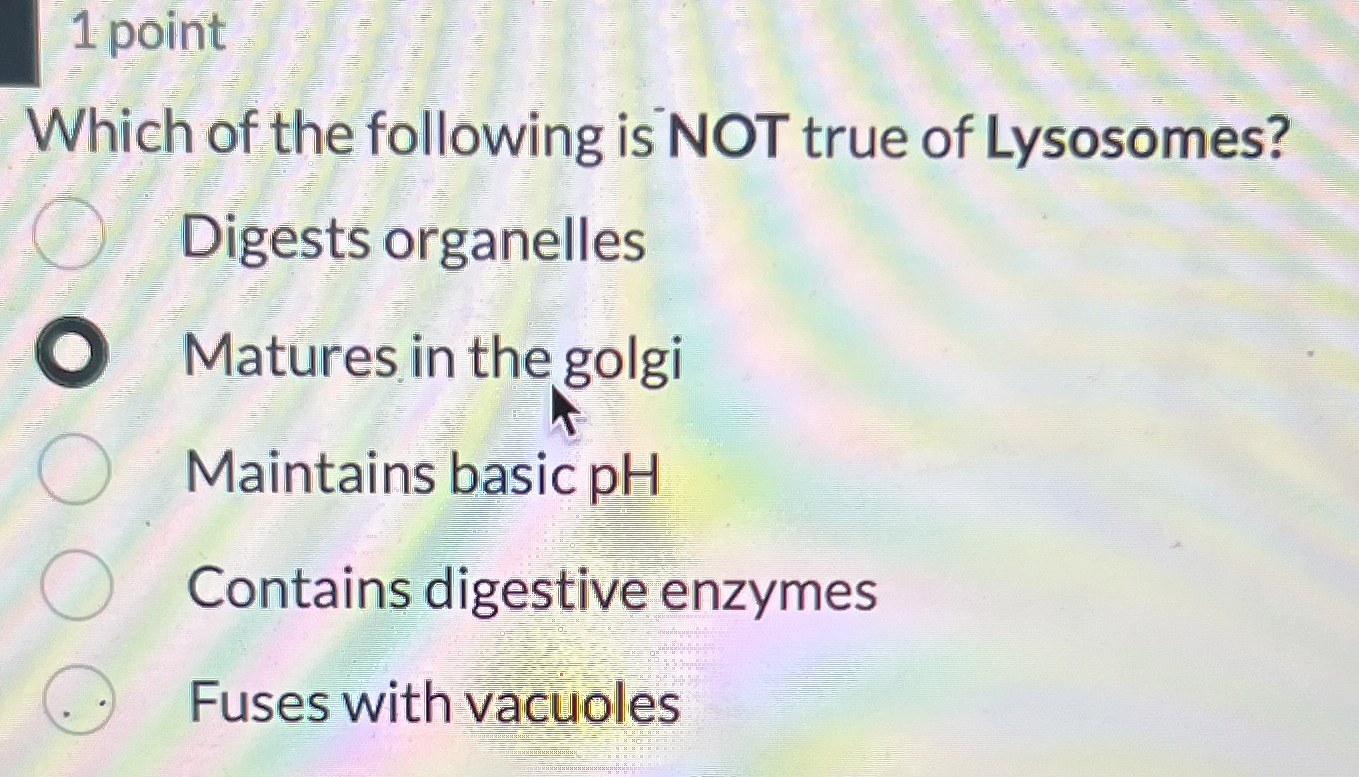 Solved 1 ﻿pointWhich of the following is NOT true of | Chegg.com