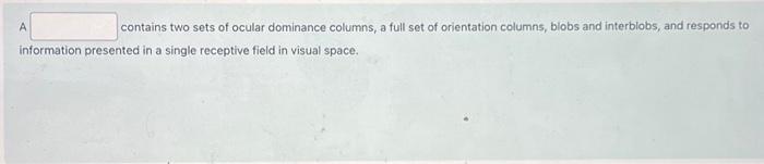 Solved A contains two sets of ocular dominance columns, a | Chegg.com