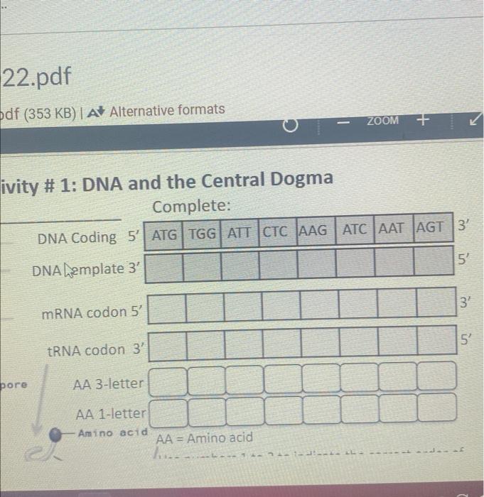 Solved 22.pdf ivity # 1: DNA and the Central Dogma Complete: | Chegg.com