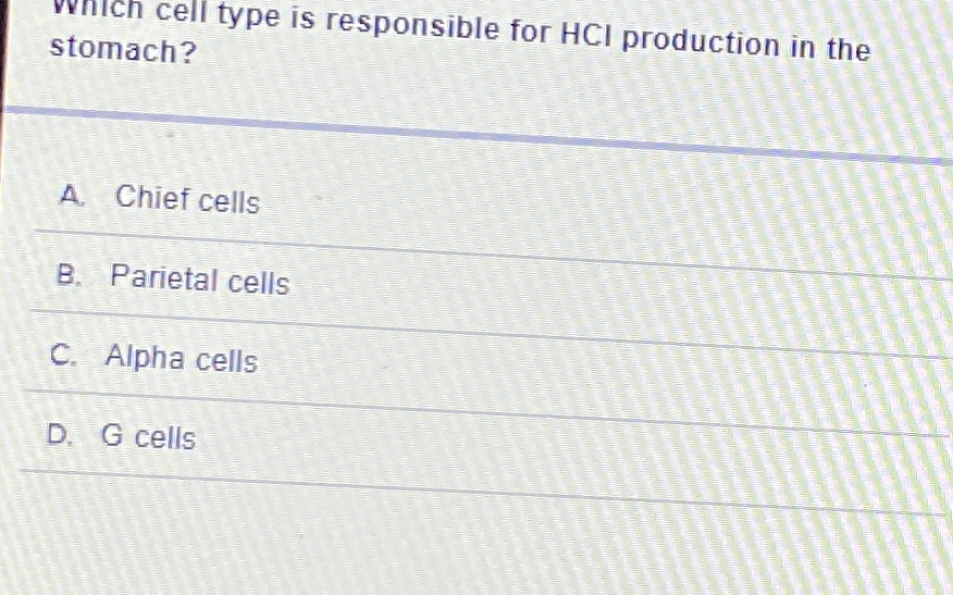 Solved cell type is responsible for HCI production in the | Chegg.com