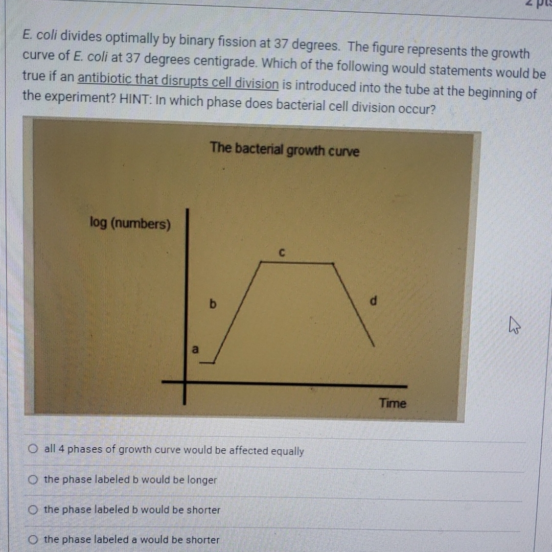 Solved E. ﻿coli divides optimally by binary fission at 37 | Chegg.com