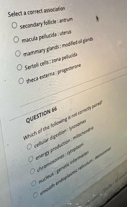 Solved QUESTION 64 Which of the following is not a correct | Chegg.com