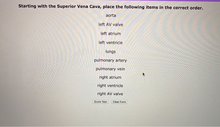 Solved Starting with the Superior Vena Cava, place the | Chegg.com