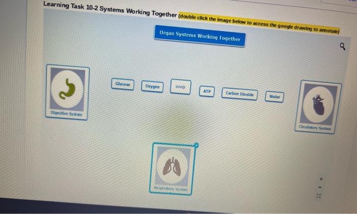 Solved Learning Task 10-2 Systems Working Together Review | Chegg.com