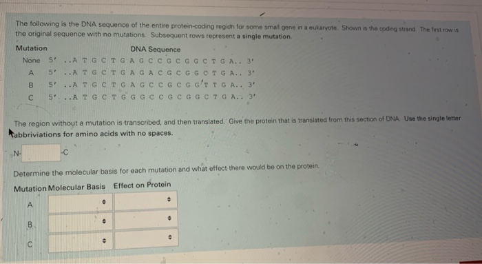 The following is the DNA sequence of the entire | Chegg.com