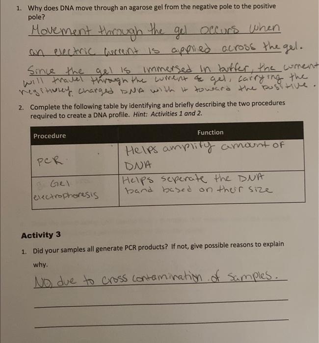 2. Use Figure 11.4 and the DNA band patterns on your | Chegg.com