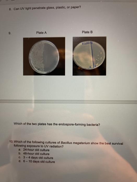 Solved Lab Assignment - Effect of Ultraviolet Light on | Chegg.com