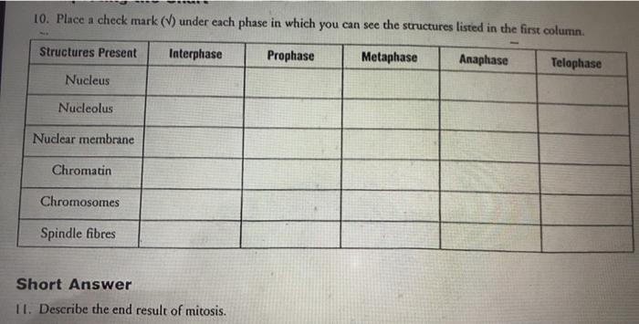 Solved 10. Place a check mark (1) under each phase in which | Chegg.com