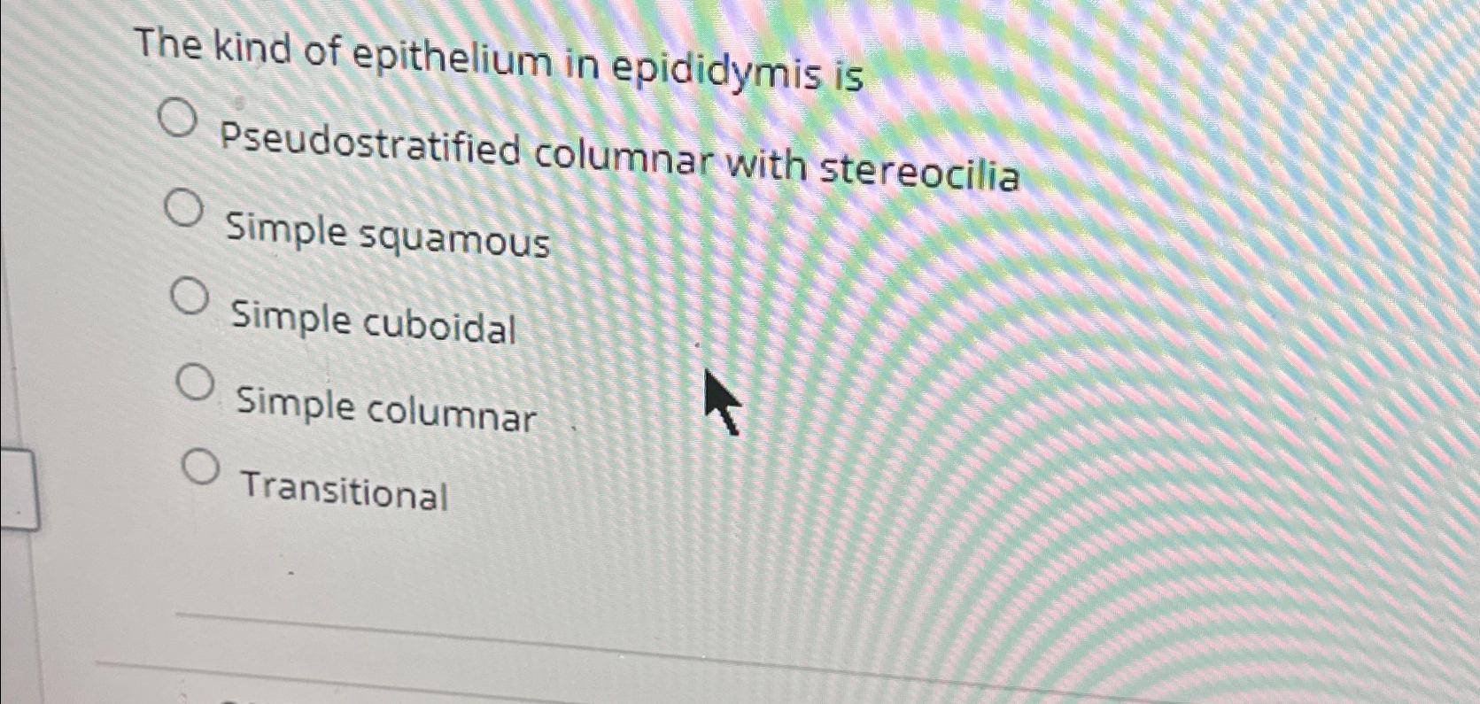 Solved The kind of epithelium in epididymis | Chegg.com