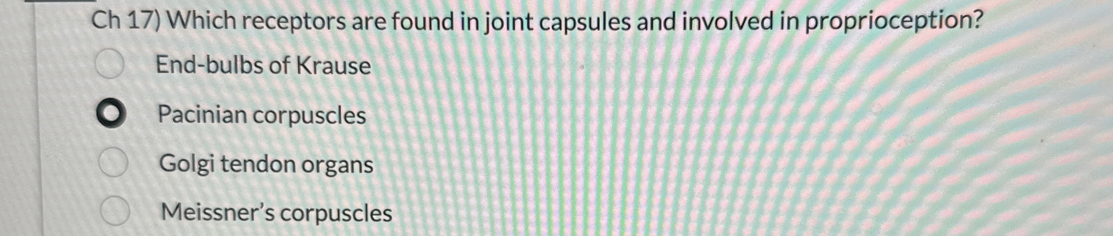 Solved Ch 17) ﻿Which receptors are found in joint capsules | Chegg.com