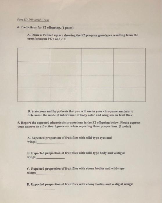 Solved 4. Predictions for F2 offspring. ( 1 point) A. Draw a | Chegg.com