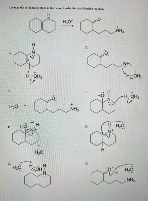 Solved Arrange the mechanism steps in the correct order for | Chegg.com Solved Arrange the mechanism steps in the correct order for | Chegg.com