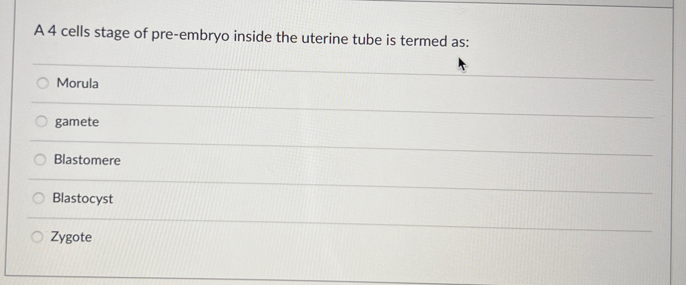 Solved A 4 ﻿cells stage of pre-embryo inside the uterine | Chegg.com