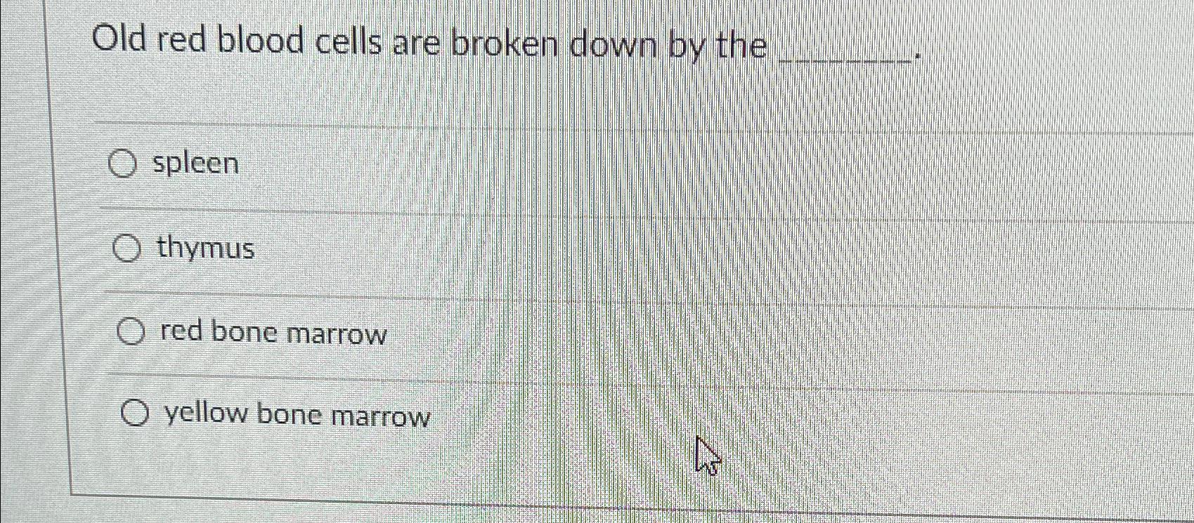 Solved Old red blood cells are broken down by | Chegg.com