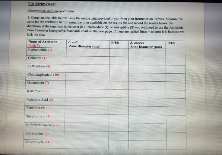 7-2: Kirby-Bauer Observations and Interpretations 1. | Chegg.com