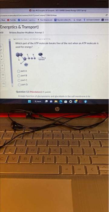 Solved Which part of the ATP molecule breaks free of the | Chegg.com