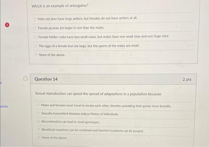 Solved Which is an example of anisogamy? Male red deer have | Chegg.com