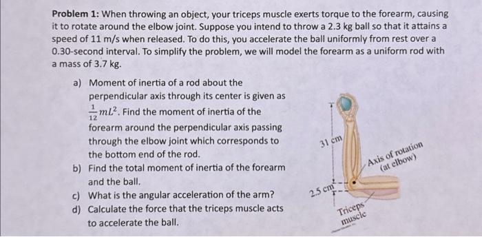 Solved Problem 1: When throwing an object, your triceps | Chegg.com