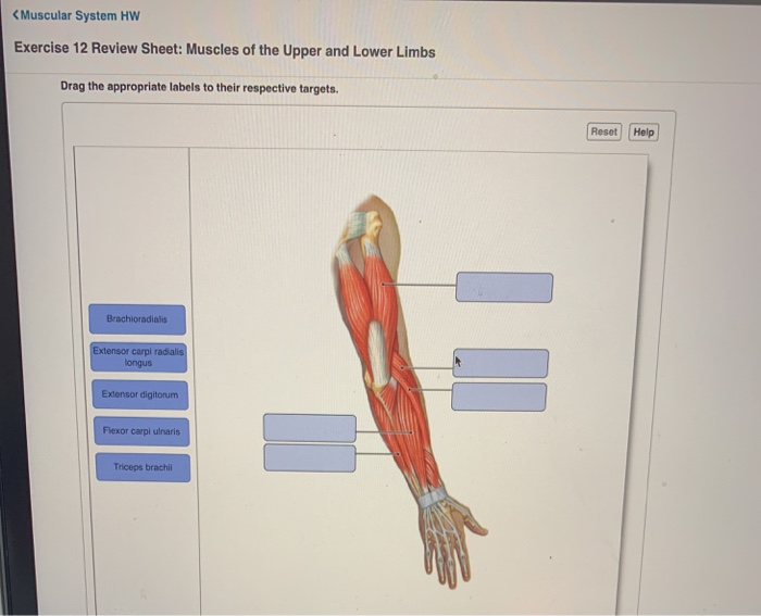 Solved there are 5 questions here help please | Chegg.com