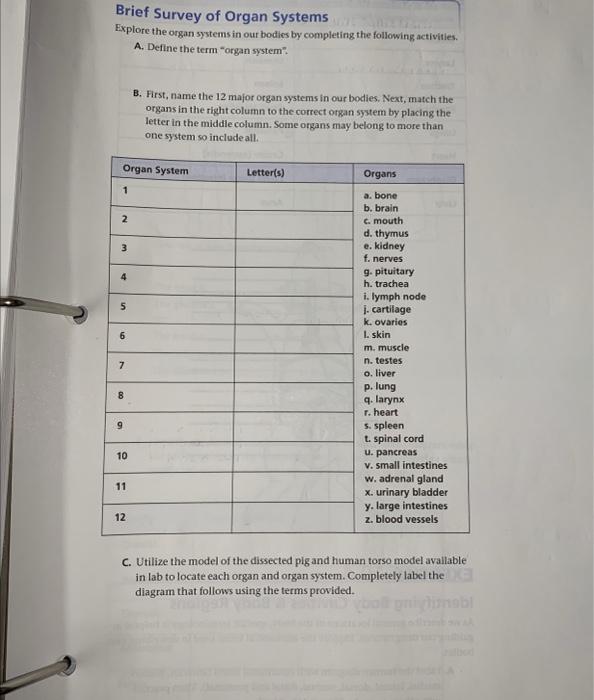 Solved Brief Survey of Organ Systems Explore the organ | Chegg.com