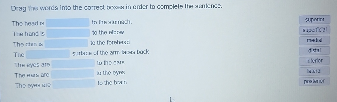 Solved Drag the words into the correct boxes in order to | Chegg.com