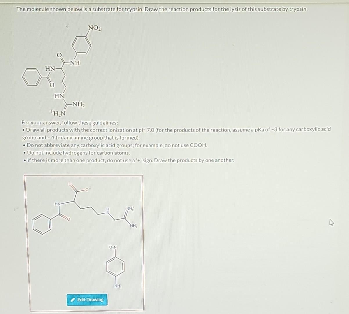 The molecule shown below is a substrate for trypsin. | Chegg.com