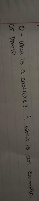 Solved & what is an example Q- What is a cascade? OF PAMP | Chegg.com