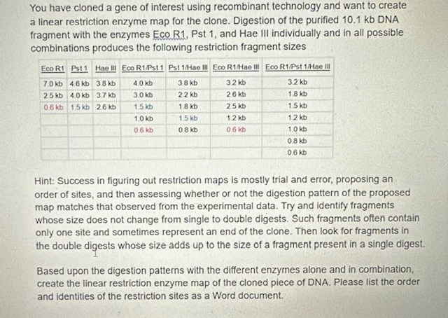 Solved You have cloned a gene of interest using recombinant | Chegg.com