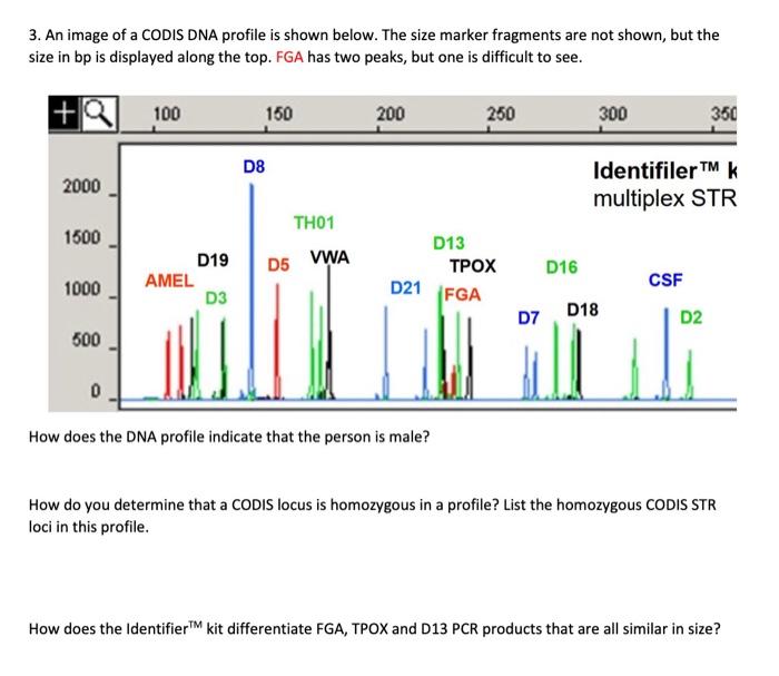 Solved 3. An image of a CODIS DNA profile is shown below. | Chegg.com