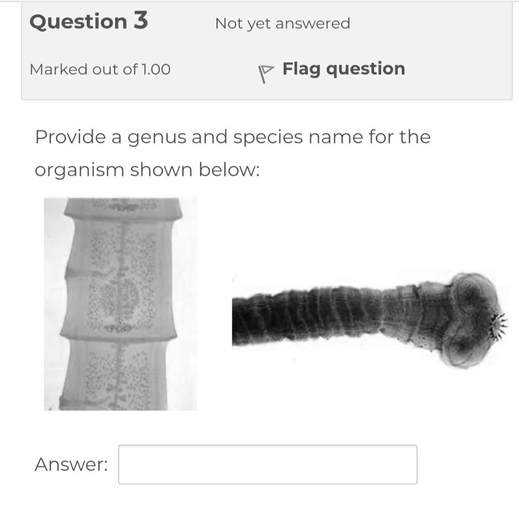 Solved Provide the genus and species name of the organism | Chegg.com
