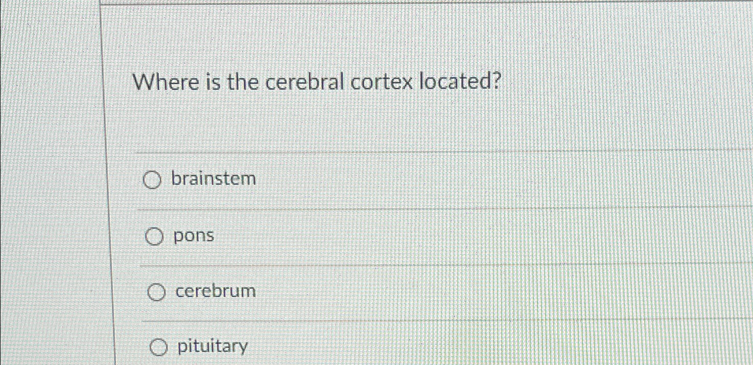 Solved Where is the cerebral cortex | Chegg.com