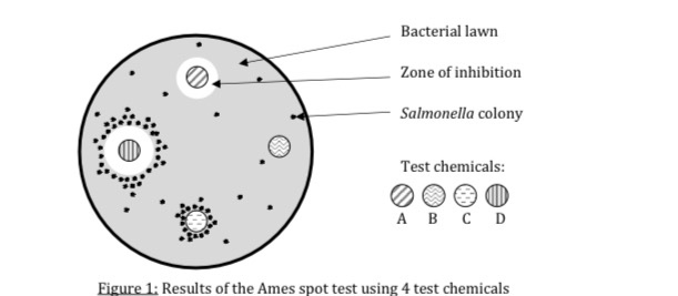 Solved 1. You set up an Ames spot test using 4 different | Chegg.com