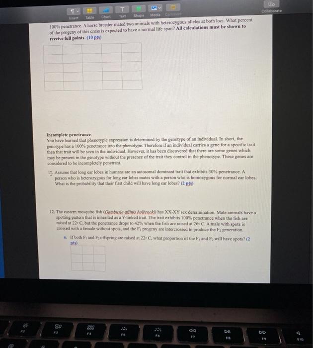 Solved Insert Table Chart Text Shape Media Comment | Chegg.com