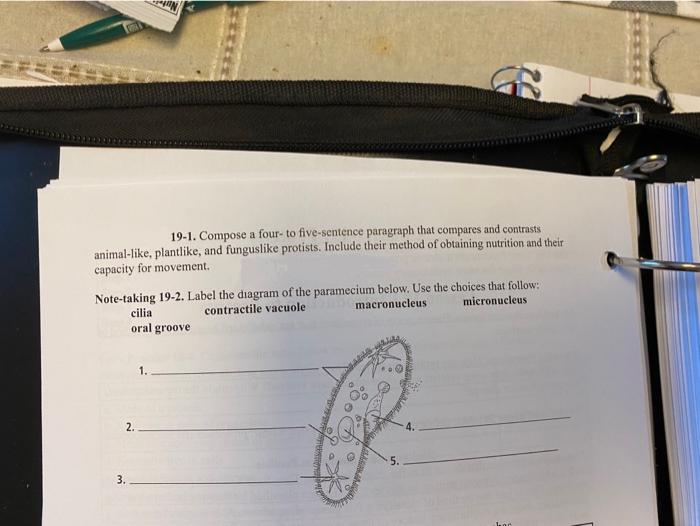 Solved Compose a four to five sentance paragraph that | Chegg.com