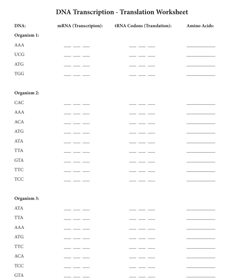 Solved DNA Transcription - ﻿Translation WorksheetDNA: mRNA | Chegg.com