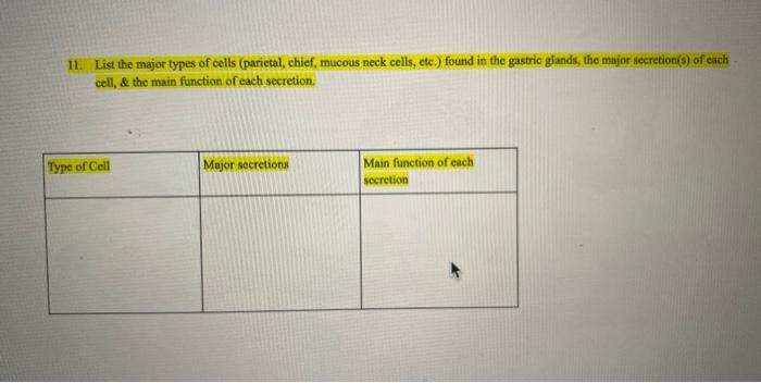 Solved 11. List the major types of cells (parietal, chief, | Chegg.com