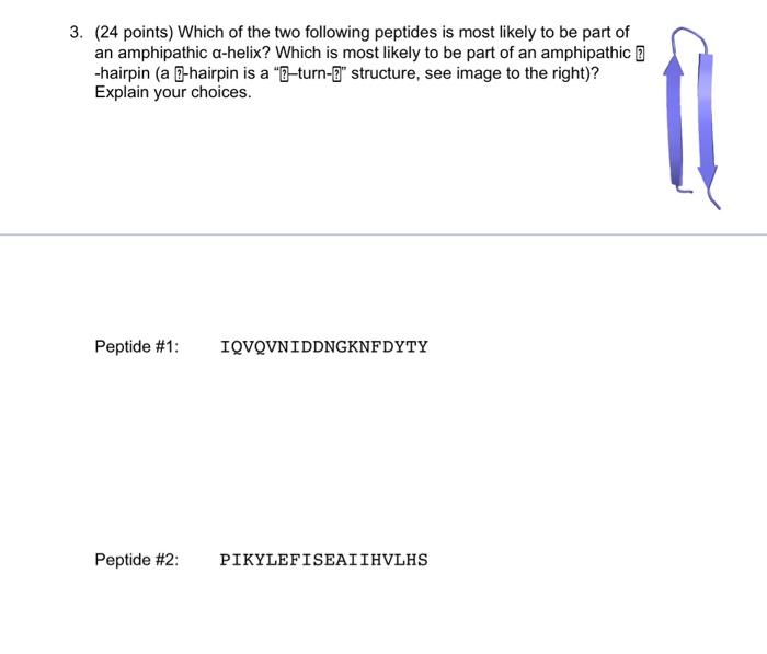 Solved 3. (24 points) Which of the two following peptides is | Chegg.com