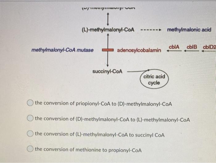 Solved Question 22 (3 points) Below is a pathway for the | Chegg.com