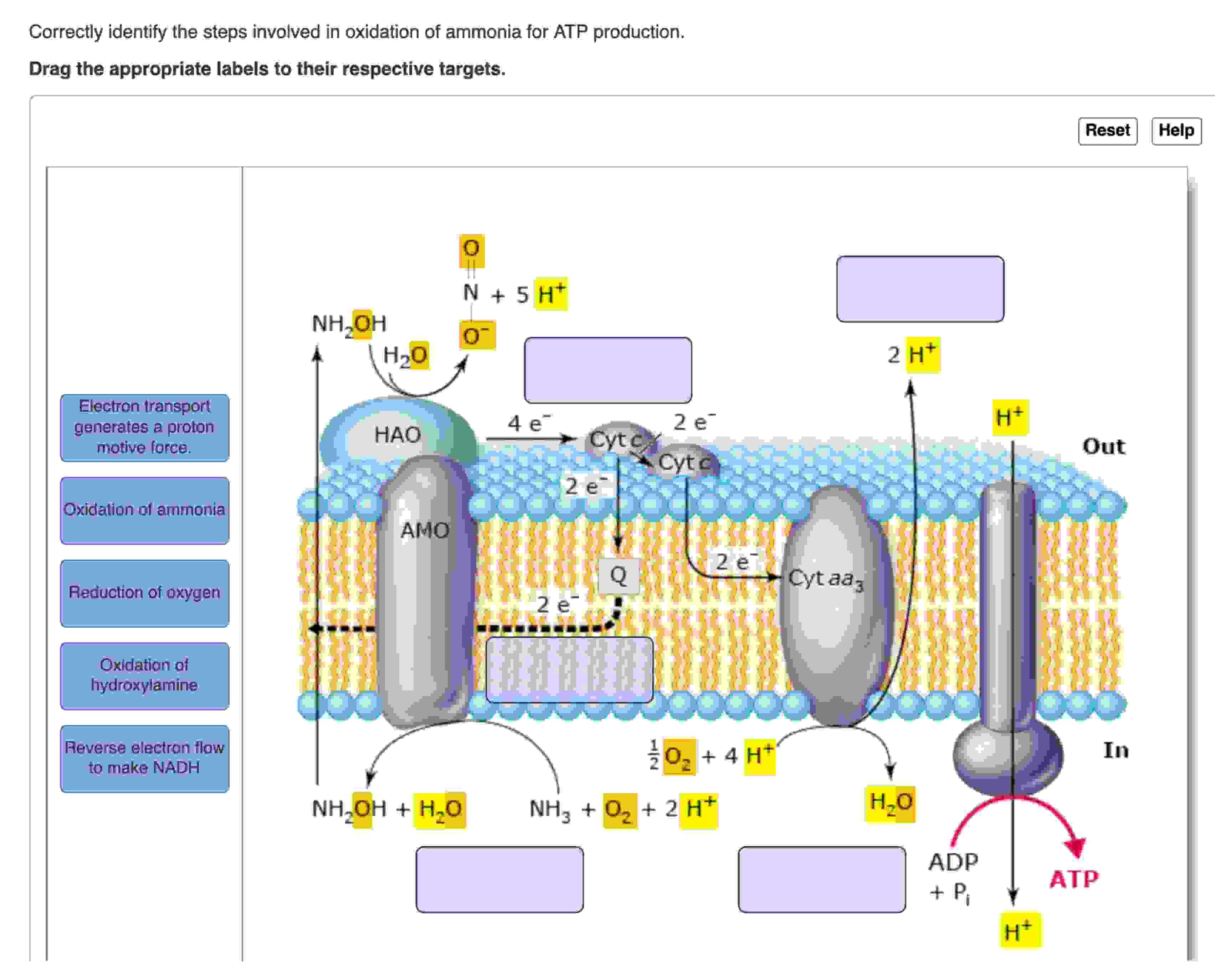 Solved Correctly identify the steps involved in oxidation of | Chegg.com Solved Correctly identify the steps involved in oxidation of | Chegg.com