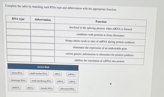 Solved Complete the table by matching each RNA type and | Chegg.com