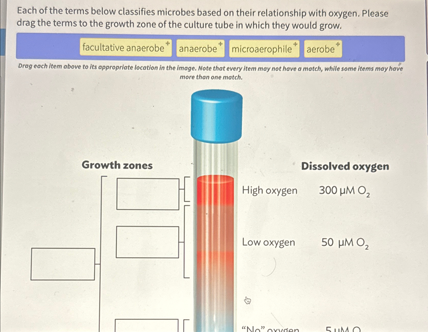 Solved Each of the terms below classifies microbes based on | Chegg.com