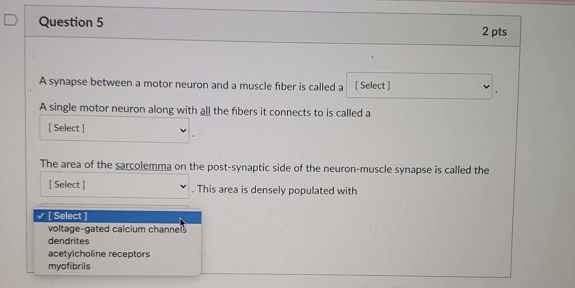 Solved Question 5 2 pts A synapse between a motor neuron and | Chegg.com