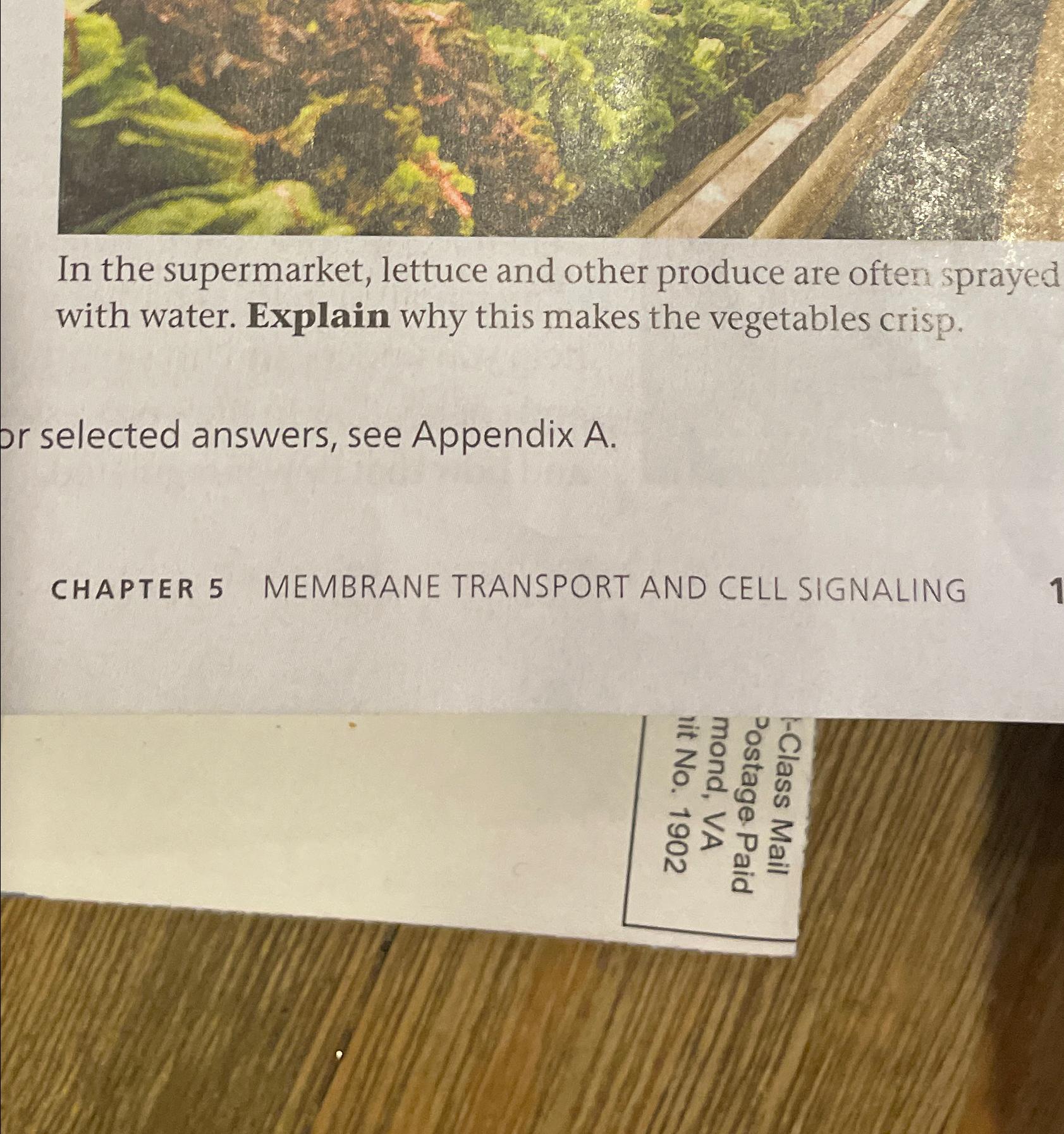 Solved In the supermarket, lettuce and other produce are | Chegg.com