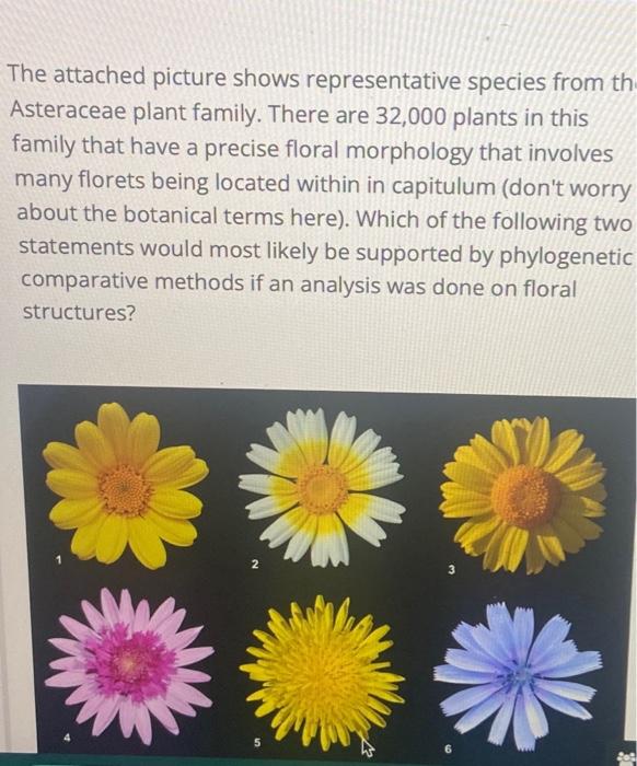 Trait 1 Trait 2 Trait 3 Trait 4 Trait 5 3 Species B 1 | Chegg.com