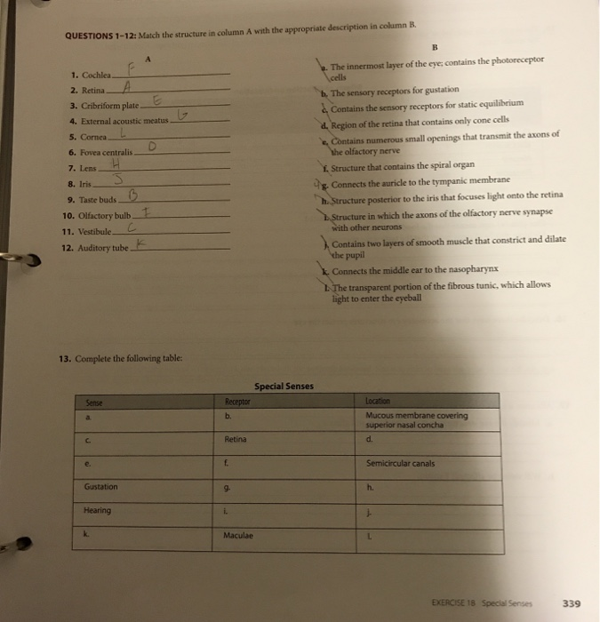 Solved QUESTIONS 1-12: Match the structure in column A with | Chegg.com