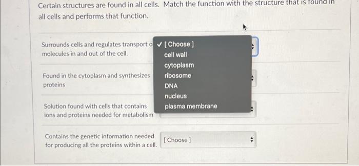 Solved Certain structures are found in all cells. Match the | Chegg.com