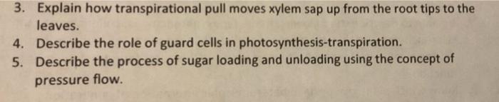 Solved 3. Explain how transpirational pull moves xylem sap | Chegg.com